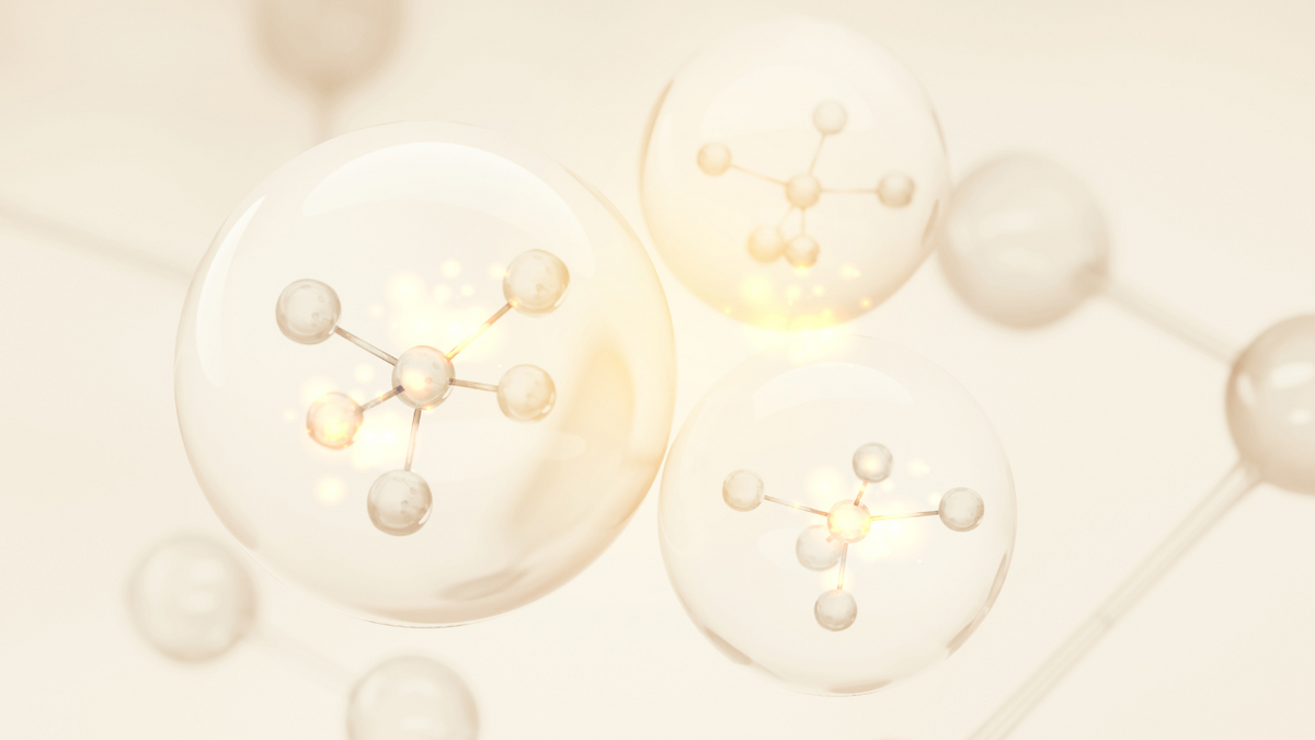 Ceramides 101: A Guide to the Essential Ingredient – Seiso Japan