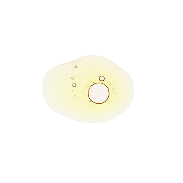 PURE CERAMIDE CONCENTRATE – Seiso JBeauty