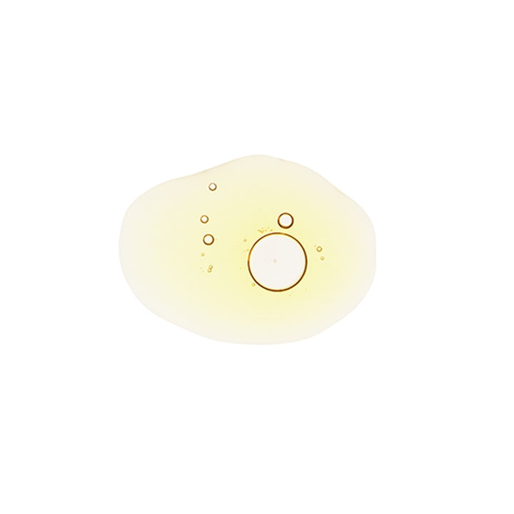 PURE CERAMIDE CONCENTRATE – Seiso JBeauty